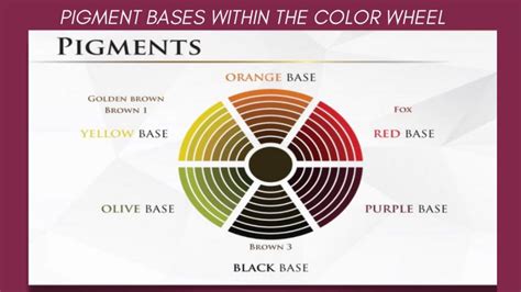 Pmu Brow Color Theory Online Course Soft Touch Academy