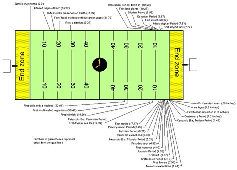 Fields Of Time Educational Resources For K