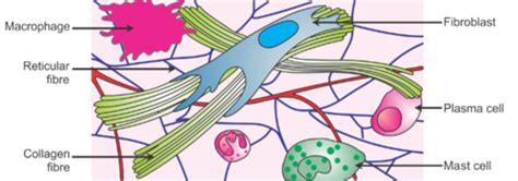 The Matrix Flashcards Quizlet