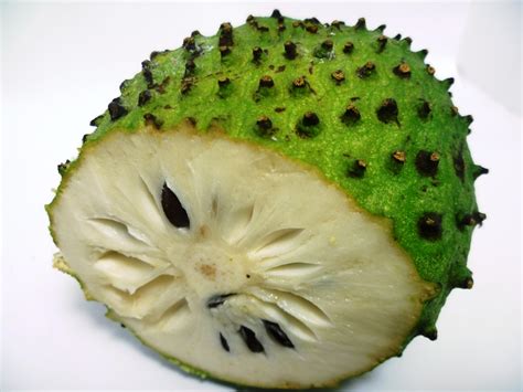 열대과일 종류와 사진열대과일 이름과 효능 2 네이버 블로그