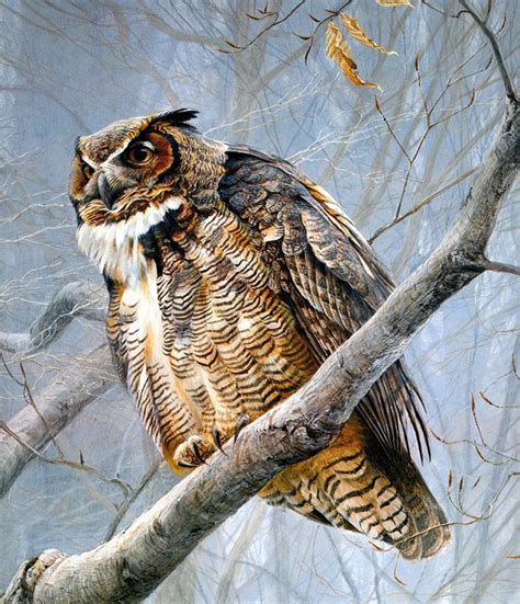 Maher Art Gallery Robert Bateman Paintings