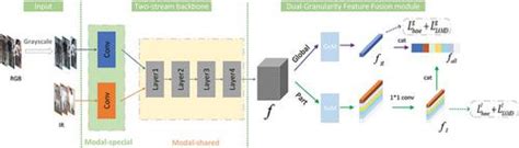 可见光 红外行人重识别中的双粒度特征融合 Iet Image Processing X Mol