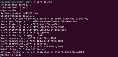 Why Do We Need Ipfs And How To Create Private Ipfs Network By Piash