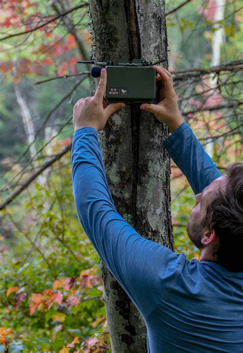 Song Meter Mini 2 Li Ion Veldshop