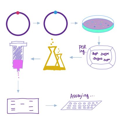 Experimental Validation Idec 2022 Hust China