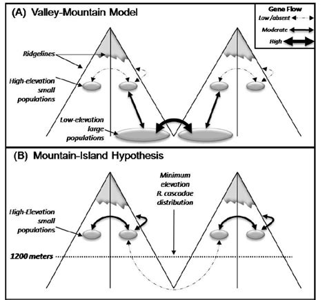 Examples Of Two Population Structure Models For Amphibians In Download Scientific Diagram
