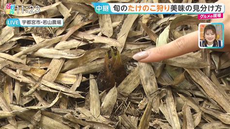 ひるおびで佐々木舞音アナが白ブラ貧乳胸チラ放送事故 みんくちゃんねる