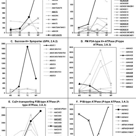 Discrete Subset Of Genes Within Selected Gene Families Are Expressed In