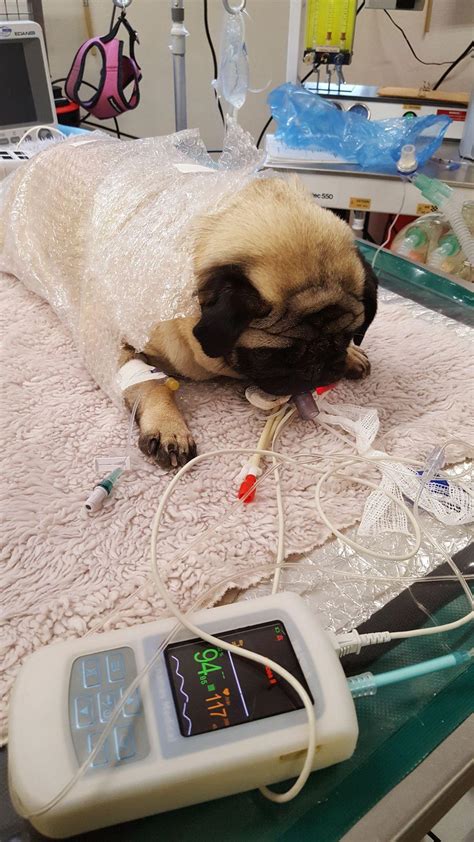 Pitfalls And Common Errors Of Anaesthetic Monitoring Devices Part 1