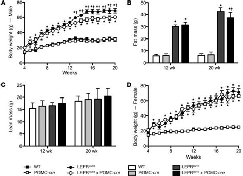 JCI Direct Leptin Action On POMC Neurons Regulates Glucose Homeostasis And Hepatic Insulin