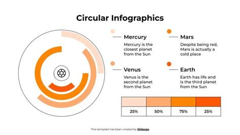 Circular Infographics Template