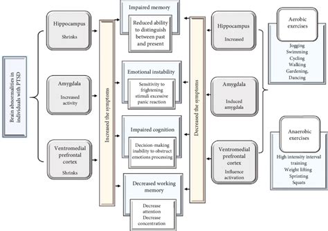 Describes The Effects Of Exercise On The Brain And How Various Brain Download Scientific