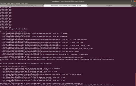 sitk error the file 0000 nii gz does not exist · issue