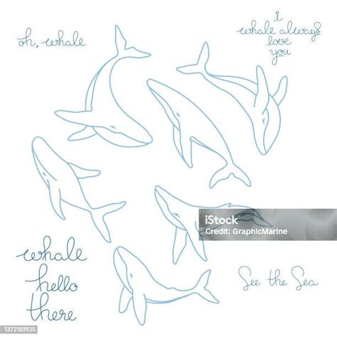 여섯 혹등고래와 레터링 문구의 세트는 미니멀 한 간단한 윤곽 벡터 로고 일러스트레이션 흰색 배경에 윤곽 고래 그리기 검은색에