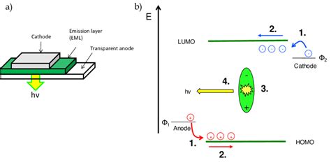 A Single Layer Oled B Basic Steps During Oled Operation Injection Download Scientific
