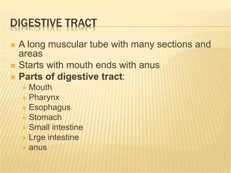 Digestive System Cpt Coding 2017 Ppt