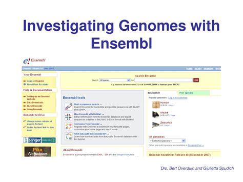 Ppt Investigating Genomes With Ensembl Powerpoint Presentation Free