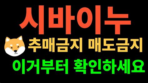 시바이누 추매 매도 절대 금지 우선 이거부터 보세요 Youtube