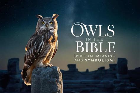 Spiritual Meaning Of The Owl In The Bible