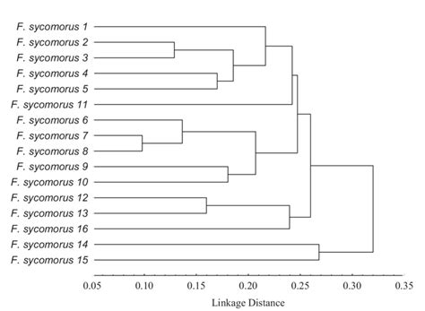 Cluster Analysis Generated Using UPGMA Analysis Showing Relationships Download Scientific