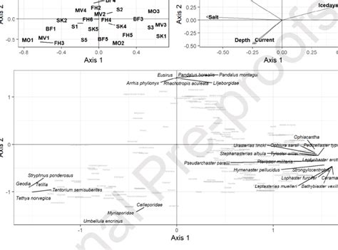 Results Of The Rlq Analysis Loadings Along The First And Second Rlq Download Scientific