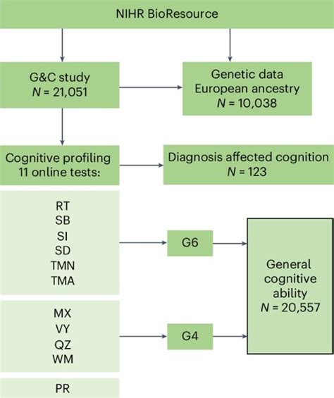 Andrés D Klein On Linkedin Dynamics Of Cognitive Variability With Age And Its Genetic