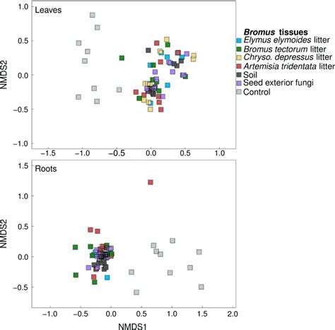 Nmds Ordinations Showing The Endophytic Fungal Communities In Bromus Download Scientific