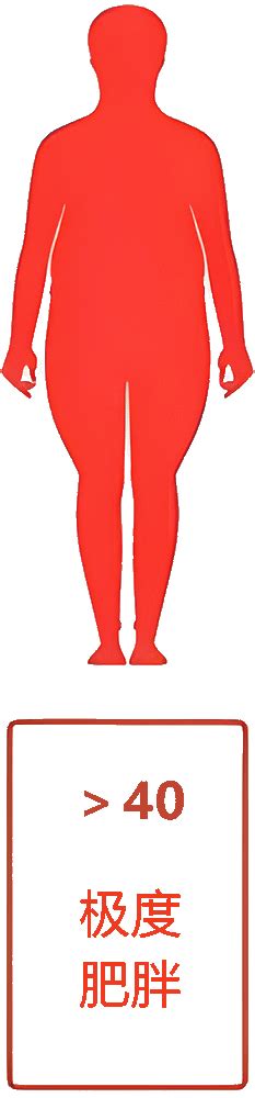 在线 Bmi 计算器 免费计算你的身体质量指数 Bmi 在线 Bmi 计算器 免费计算你的身体质量指数 Bmi