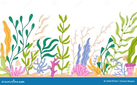 Algae Seaweeds And Corals Underwater Sea Plants Border Tropical