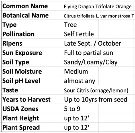 Flying Dragon Trifolate Orange 20 Great Escape Farms