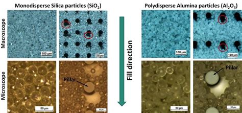 Optical Macroscope Microscope Images Of SiO And Al O Download Scientific Diagram