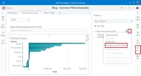 Using Common Filters In Sas Visual Analytics Proc