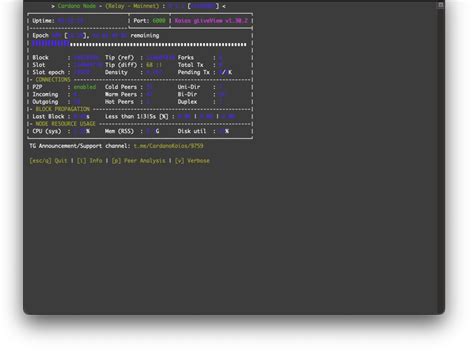 upgraded to 9 1 1 does not show pending tx operate a stake pool