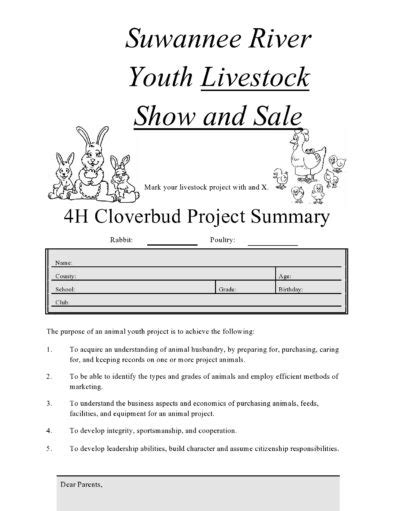 40 Perfect Project Summary Templates Examples 40 Perfect Project Summary Templates Examples