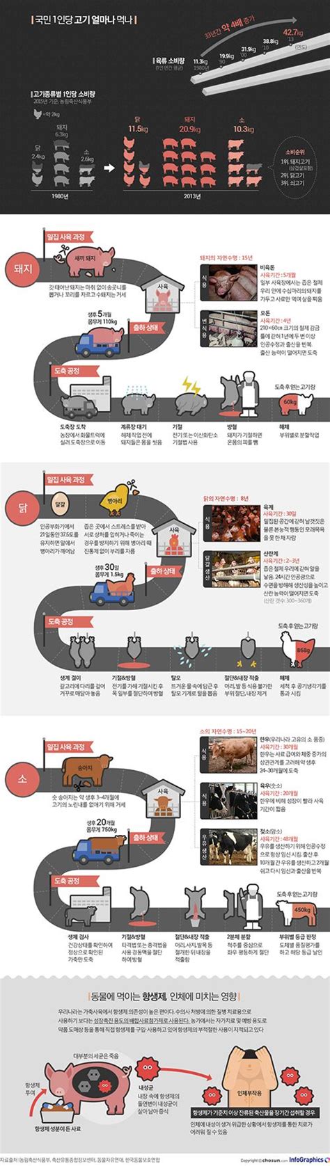 우리 식탁위 고기들 어디에서 오는 걸까 인포 그래픽스 인포그래픽 지식