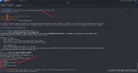 完全仿真代码审计 基于sql注入漏洞 heybbs审计 csdn博客