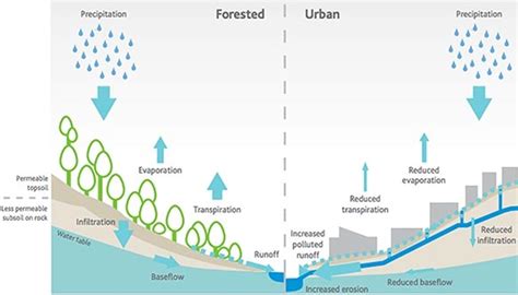 Water Sensitive Urban Design Wsud Archives Perkimid