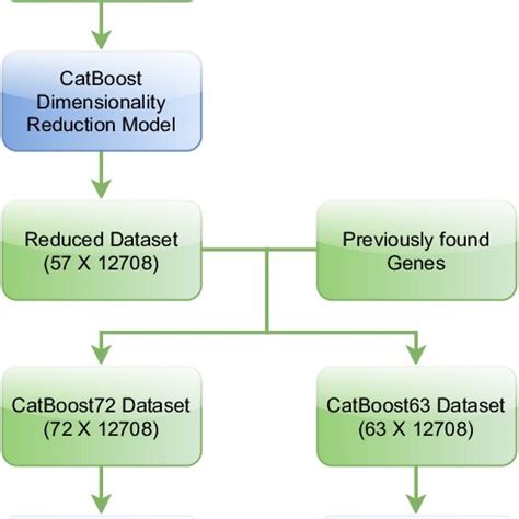 A Flowchart Of Modules Consisting Of The Different Datasets And Models