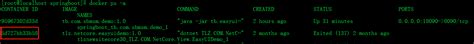 Docker部署启动错误需要手动进入Docker的容器里启动程序排查错误 八戒 博客园