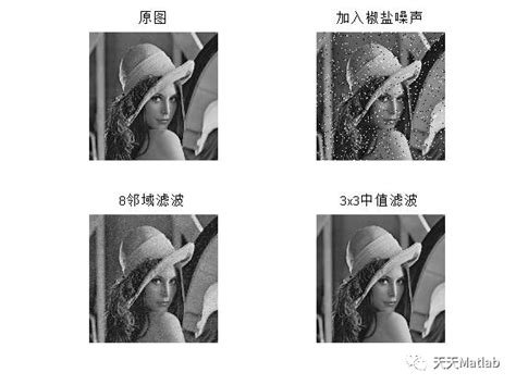 【图像去噪】基于邻域和中值滤波实现图像去噪含matlab源码 matlab如何对图形进行去噪 csdn博客