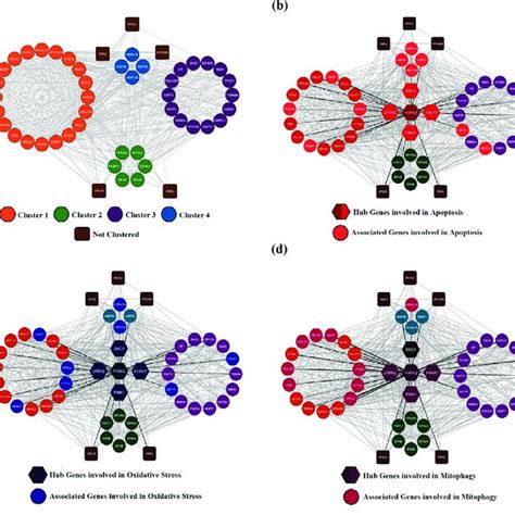 Gene Interaction Network Analysis A Mcode Clustering Analysis Of 49