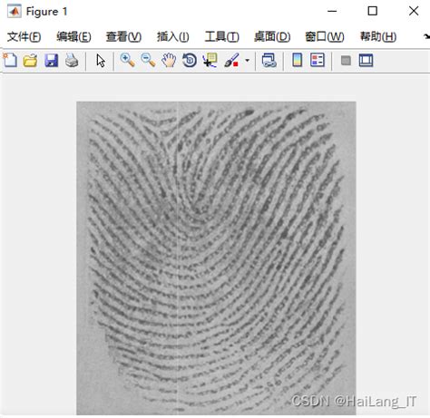 毕业设计 一种基于 MATLAB 的指纹识别方法 matlab实现指纹识别 CSDN博客