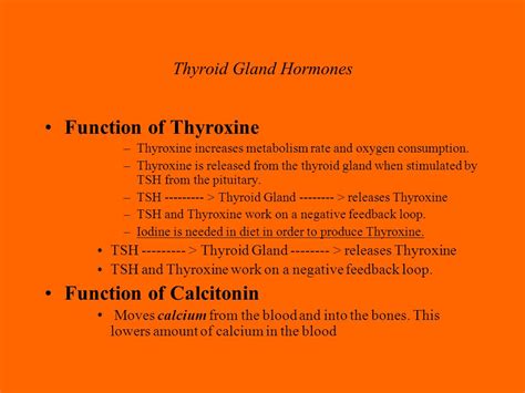 The Endocrine System Ppt Video Online Download