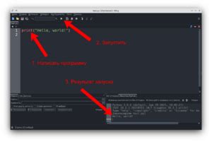 Wing IDE IT в школе
