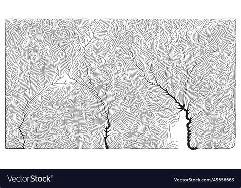 Growth Pattern Generative Branching Structure Vector Image