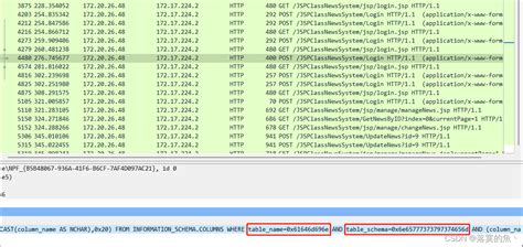 wirehark数据分析与取证hack pcapng csdn博客