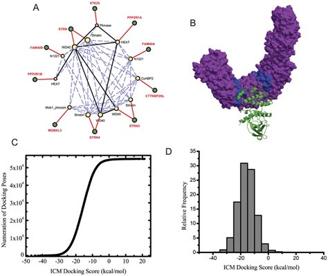 Validation Of A Domain Domain Interaction A Network Showing The Download Scientific Diagram