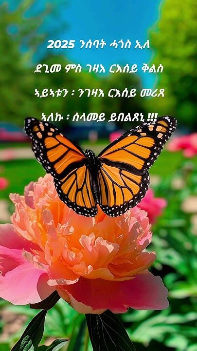 eritreanmovie habesha eritreanmusic eritreancomedy eritrea eritrean eritreanews