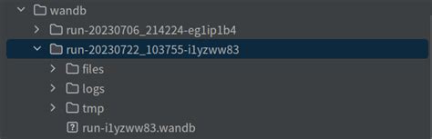 Wandb Resume Issue Uzh Rpg RVT GitHub