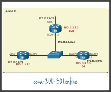 Multiaccess Ospf Networks Ccna 200 301